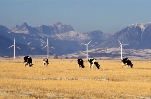 Report focuses on Alberta’s wind energy potential - Construction Canada