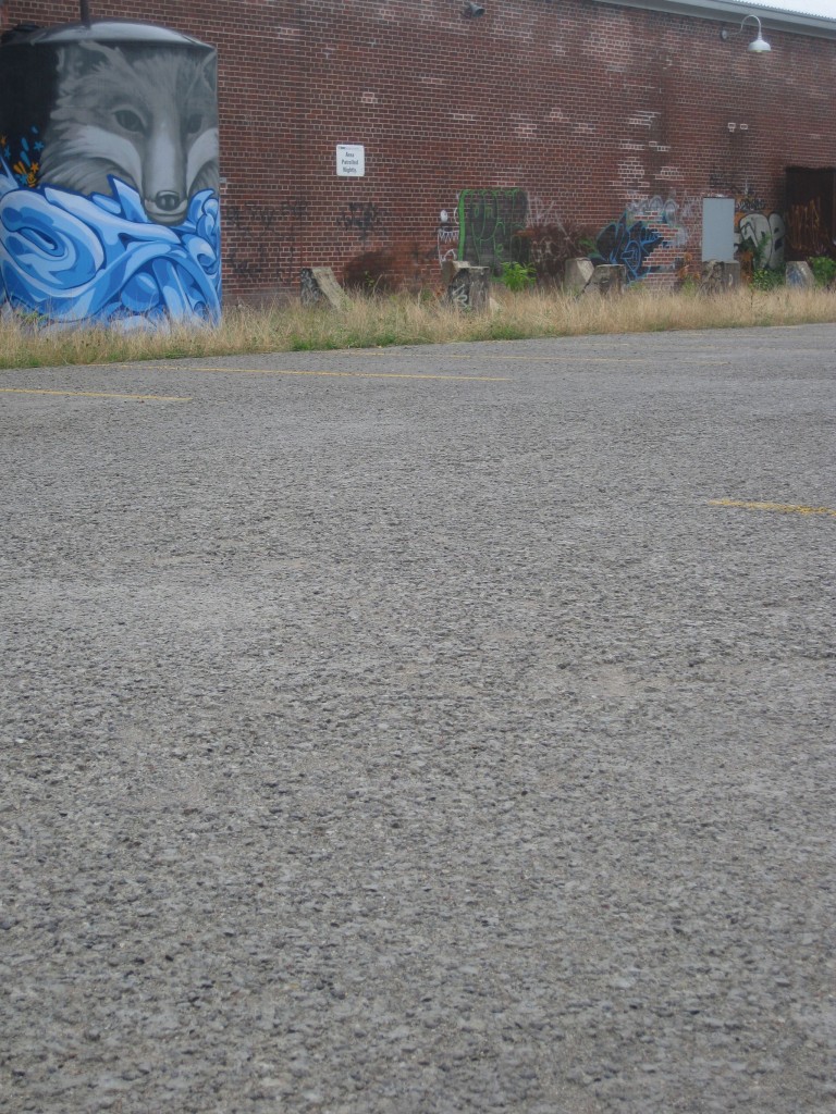 Project Example - PCP - Photo 2 - Construction Canada