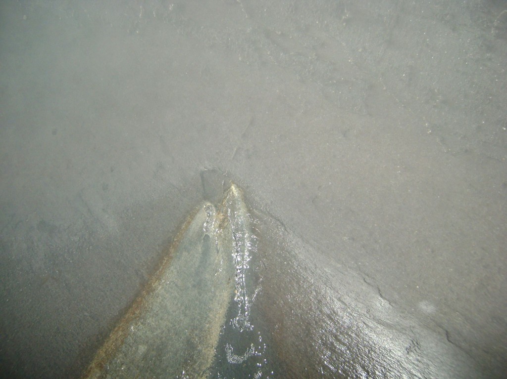 Moving forward with sustainable concrete building - Construction Canada