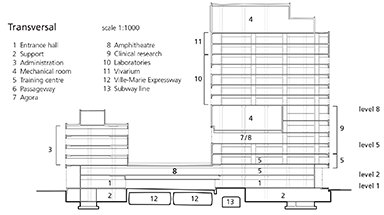 chum_Transversal - Construction Canada