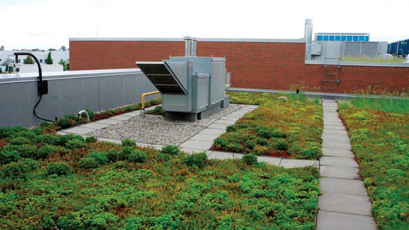 Designing extensive and semi-extensive vegetated roofs for long-term ...