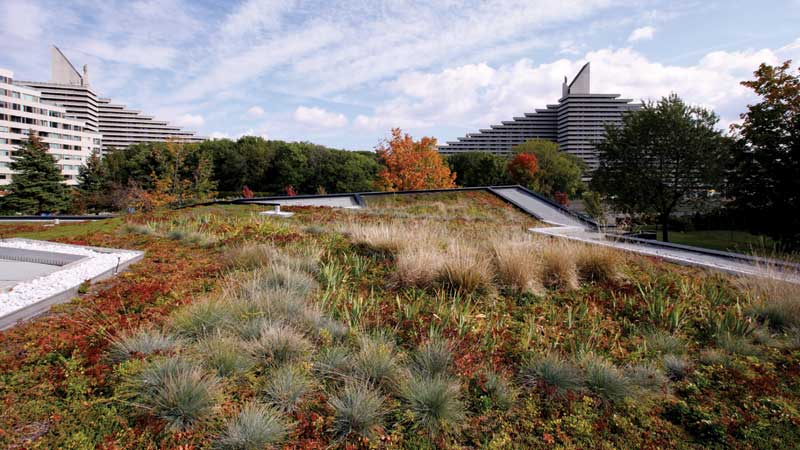 Designing extensive and semi-extensive vegetated roofs for long-term ...