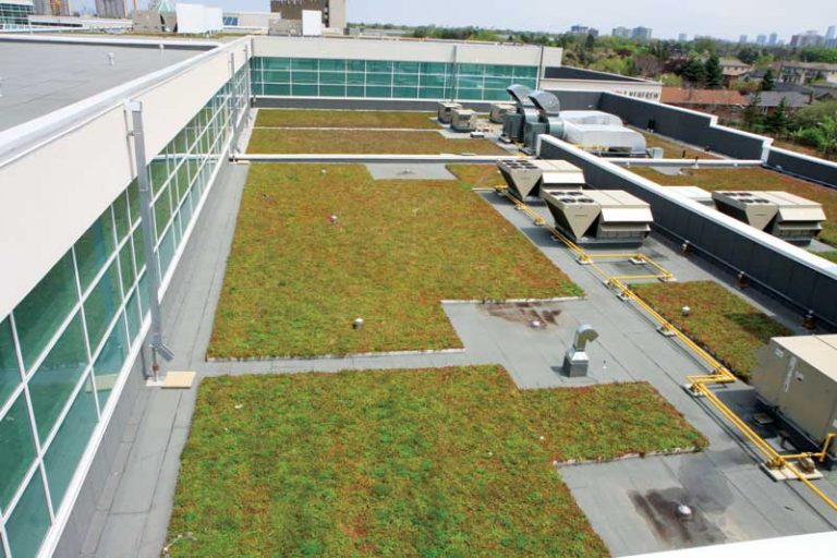 Designing extensive and semi-extensive vegetated roofs for long-term ...