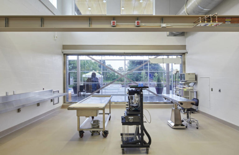 Adding transparency and treatment space to Toronto Zoo - Construction ...