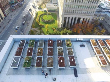 Growing green roof research in Toronto - Construction Canada
