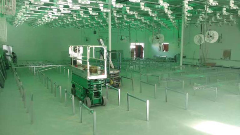 Building successful indoor cannabis cultivation facilities - Page 2 of ...
