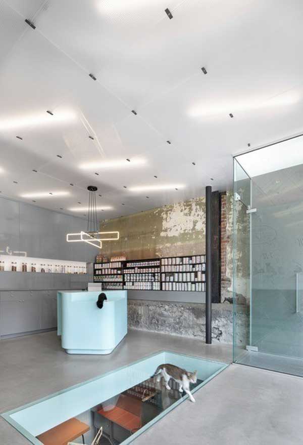 Abandoned Montréal studio restored as vet clinic - Construction Canada