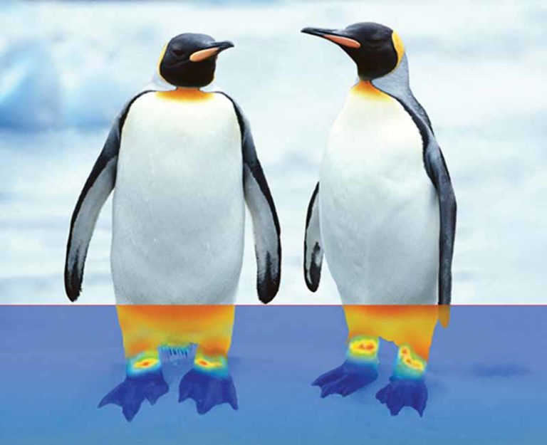 Thermal breaks prevent heat loss - Construction Canada