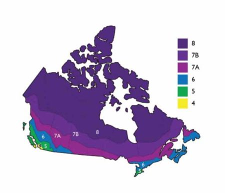Assessing thermal performance and resiliency of contemporary buildings ...