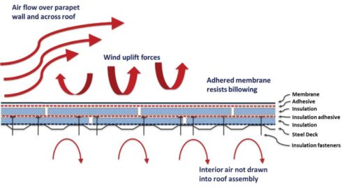 Cold storage: How smart roof design saves energy - Page 3 of 3 ...