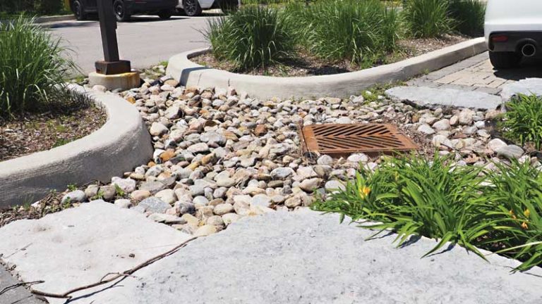 Managing stormwater with bioretention low impact development systems ...