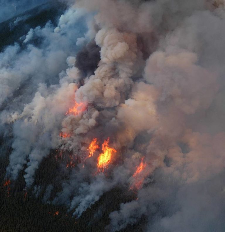 Construction begins on $7.5M Alberta fire guard - Construction Canada