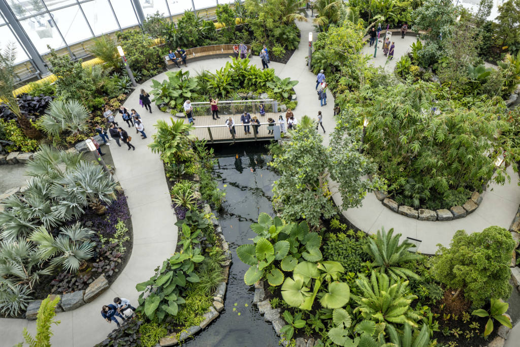 Manitoba’s The Leaf features massive ETFE roof for thermal efficiency ...