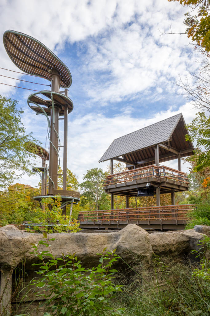 Toronto Zoo’s new exhibit design boosts endangered species conservation ...