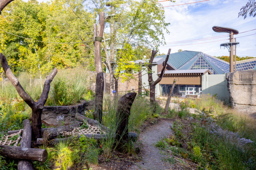 Toronto Zoo’s new exhibit design boosts endangered species conservation ...