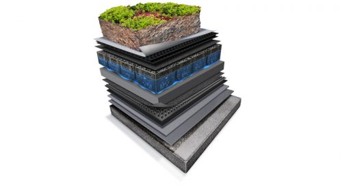 Green Roofs: The Sky-high Solution to Stormwater Struggles ...