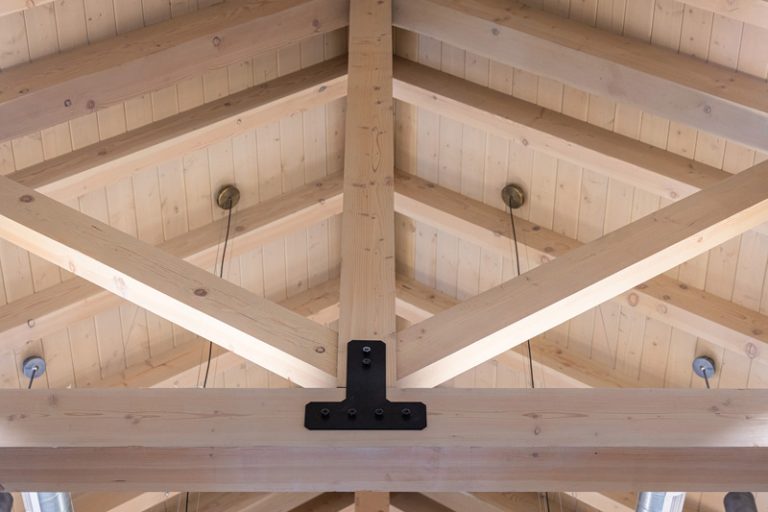 Strength in the scorch: Timber’s secret to surviving fire ...
