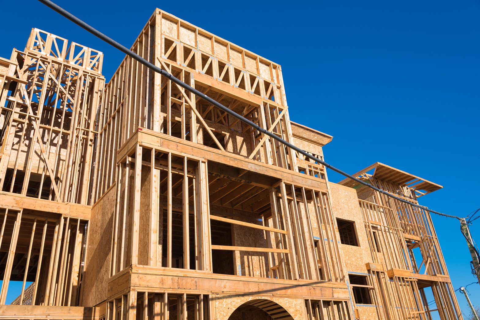 Timber takes root in B.C.: A model for sustainable growth ...